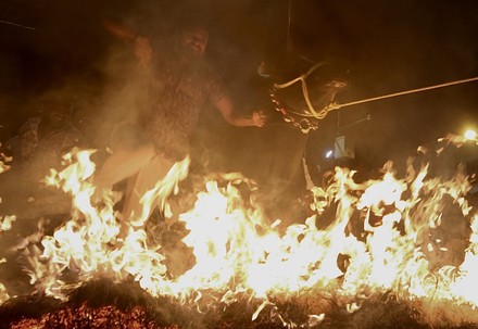 Man Jumps Through Bonfire Cow Pulled Editorial Stock Photo - Stock ...