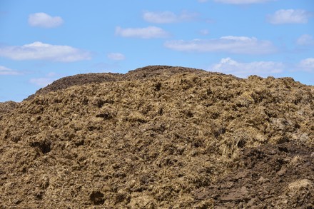 Muck Heap Editorial Stock Photo - Stock Image | Shutterstock