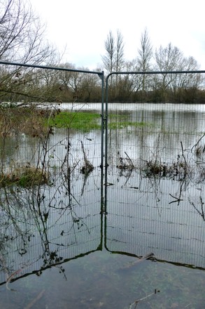 Tumbling Bay Nature Reserve Under Flood Editorial Stock Photo - Stock ...