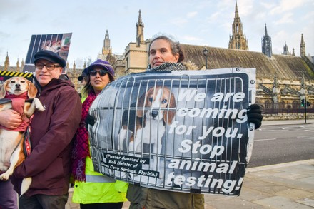 Protester Holds Anti Animal Testing Placard Editorial Stock Photo ...