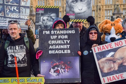 Protester Holds Placard Opposed Experiments On Editorial Stock Photo ...