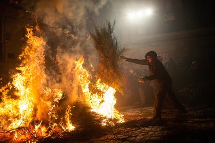 Man Throws Bundle Branches Into Bonfire Editorial Stock Photo - Stock ...