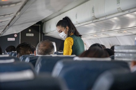 Flight Attendant Serving Passengers During Flight Editorial Stock Photo ...