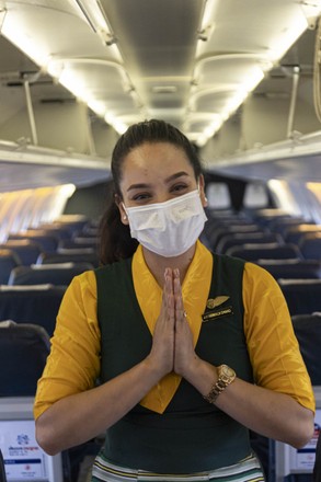 Flight Attendant Wearing Facemask Inside Cabin Editorial Stock Photo ...