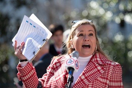 Virginia State Senator Amanda Chase Speaks Editorial Stock Photo ...