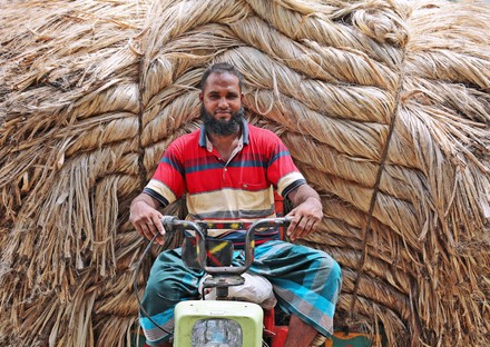 Fibres Jute Transported On Heavily Loaded Editorial Stock Photo - Stock ...