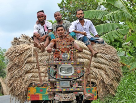 Fibres Jute Transported On Heavily Loaded Editorial Stock Photo - Stock ...