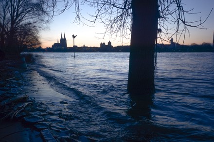 General View Flooding Rhine Park Cologne Editorial Stock Photo - Stock ...