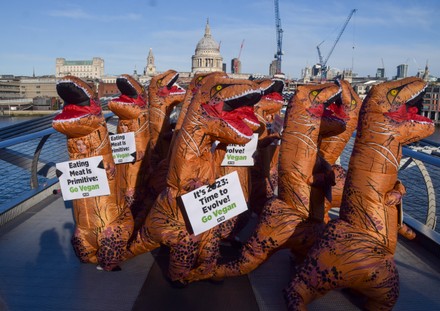 Peta People Ethical Treatment Animals Activists Editorial Stock Photo ...