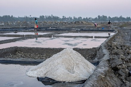 Farmer Unloads Raw Salt Salt Field Editorial Stock Photo - Stock Image ...