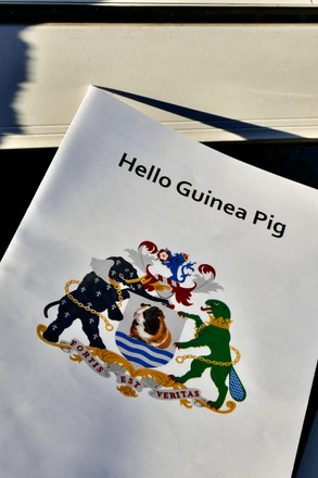 Hello Guinea Pig Leaflet Delivered Oxford Editorial Stock Photo - Stock ...