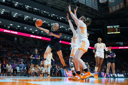 Alberte Rimdal 5 Florida Gators Looks Editorial Stock Photo - Stock Image | Shutterstock