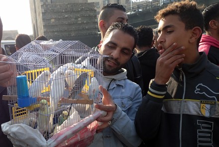 Man Carries Cage Birds Souq Sayeda Editorial Stock Photo - Stock Image ...