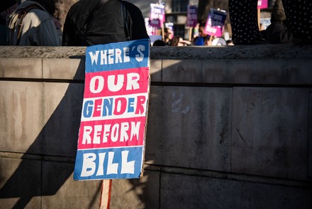 Placard Seen During Trans Rights Protest Editorial Stock Photo - Stock ...