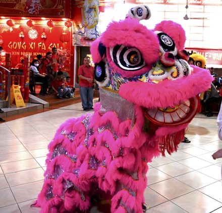 Lion Dance Performer Takes Part Event Editorial Stock Photo - Stock ...