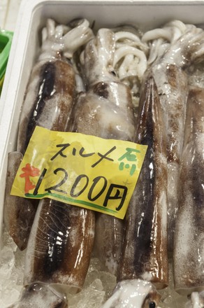 Fresh Squid Yariika Sale Tsukiji Fish Editorial Stock Photo - Stock ...