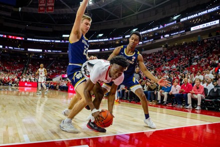Notre Dame Fighting Irish Guard Dane Editorial Stock Photo - Stock ...