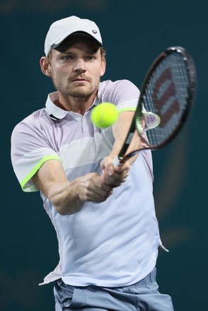 Belgian David Goffin Pictured During Tennis Editorial Stock Photo ...