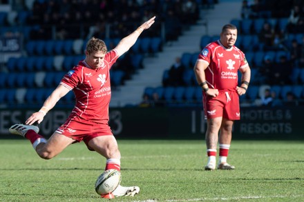 Vaea Fifita 4 Scarlets Rugby Gbwls Editorial Stock Photo - Stock Image ...