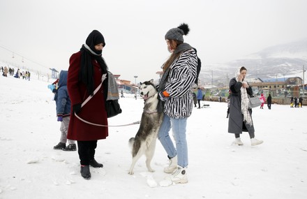 Iranians Enjoy Snow Abali Ski Resort Editorial Stock Photo - Stock ...
