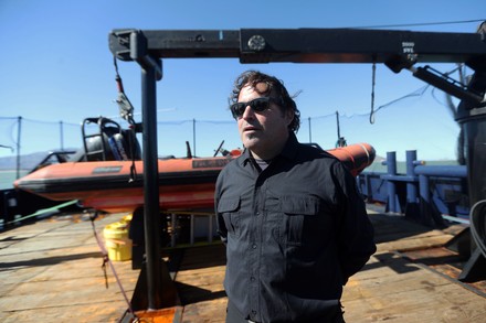 Sea Shepherd Operations Director Octavio Carranza Editorial Stock Photo ...