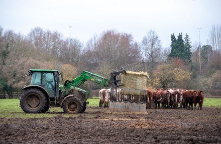 250,000 Farm; Stock Pictures, Editorial Images and Stock Photos ...