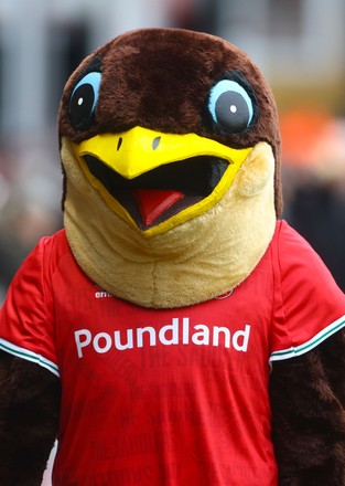 Walsall Mascot Swifty Editorial Stock Photo - Stock Image | Shutterstock