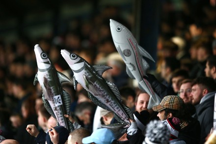 Fans Grimsby Town Hold Inflatable Fish Editorial Stock Photo - Stock ...