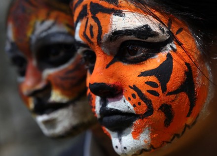 Schoolchildren Face Paint Resembling Tigers Take Editorial Stock Photo ...