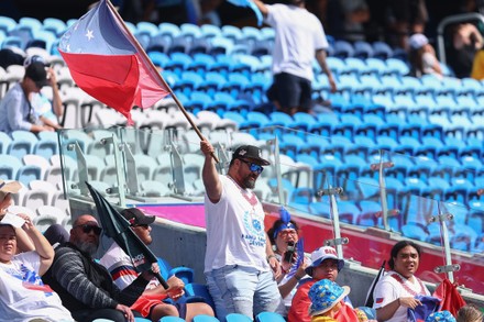 Samoa Fan Supporting His Team Allianz Editorial Stock Photo - Stock ...