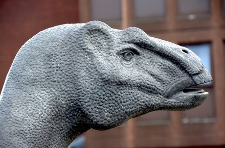 6 Dinosaur. monster. iggy. iguanodon. prehistoric monster. prehistoric ...