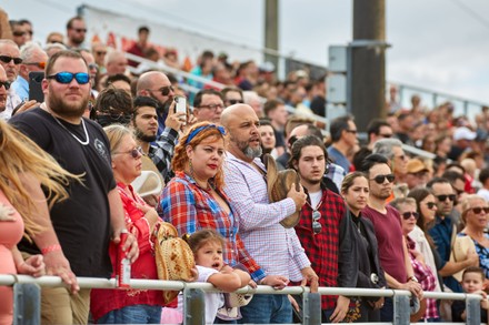 74th Annual Homestead Championship Rodeo Presented Editorial Stock ...