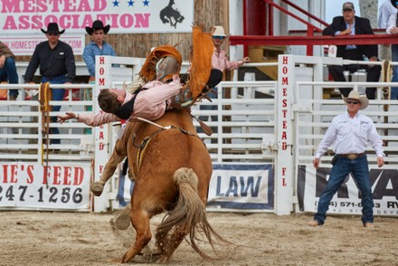 74th Annual Homestead Championship Rodeo Presented Editorial Stock ...