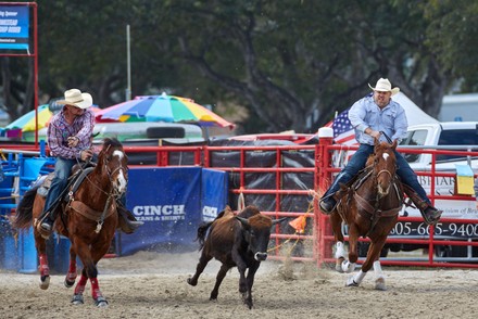 74th Annual Homestead Championship Rodeo Presented Editorial Stock ...
