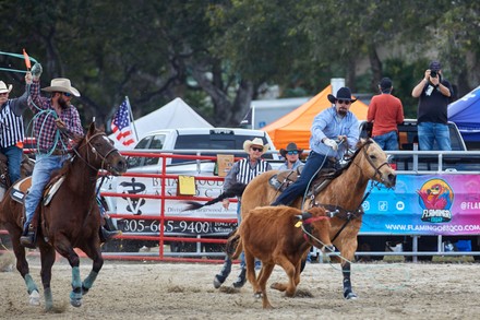 74th Annual Homestead Championship Rodeo Presented Editorial Stock ...