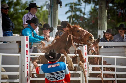 74th Annual Homestead Championship Rodeo Presented Editorial Stock ...