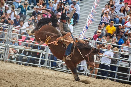 74th Annual Homestead Championship Rodeo Presented Editorial Stock ...
