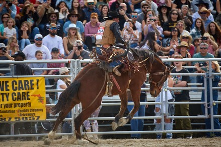 74th Annual Homestead Championship Rodeo Presented Editorial Stock ...