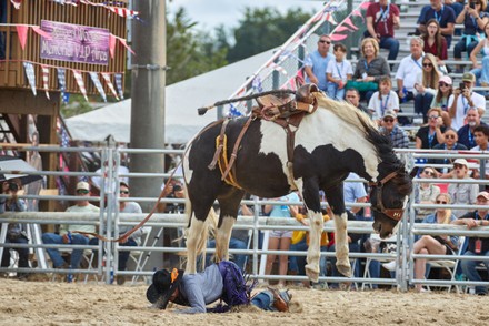74th Annual Homestead Championship Rodeo Presented Editorial Stock ...