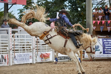74th Annual Homestead Championship Rodeo Presented Editorial Stock ...