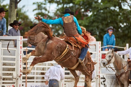74th Annual Homestead Championship Rodeo Presented Editorial Stock ...
