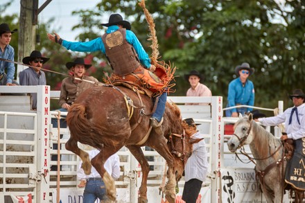 74th Annual Homestead Championship Rodeo Presented Editorial Stock ...