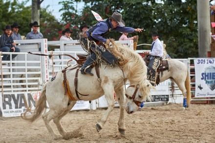 74th Annual Homestead Championship Rodeo Presented Editorial Stock ...