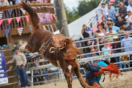 74th Annual Homestead Championship Rodeo Presented Editorial Stock ...