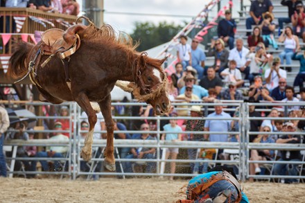 74th Annual Homestead Championship Rodeo Presented Editorial Stock ...
