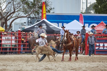 74th Annual Homestead Championship Rodeo Presented Editorial Stock ...