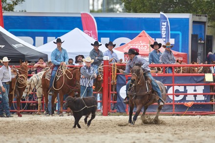 74th Annual Homestead Championship Rodeo Presented Editorial Stock ...