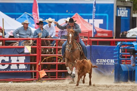 74th Annual Homestead Championship Rodeo Presented Editorial Stock ...