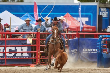 74th Annual Homestead Championship Rodeo Presented Editorial Stock ...