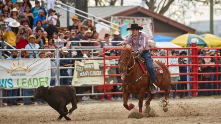 74th Annual Homestead Championship Rodeo Presented Editorial Stock ...